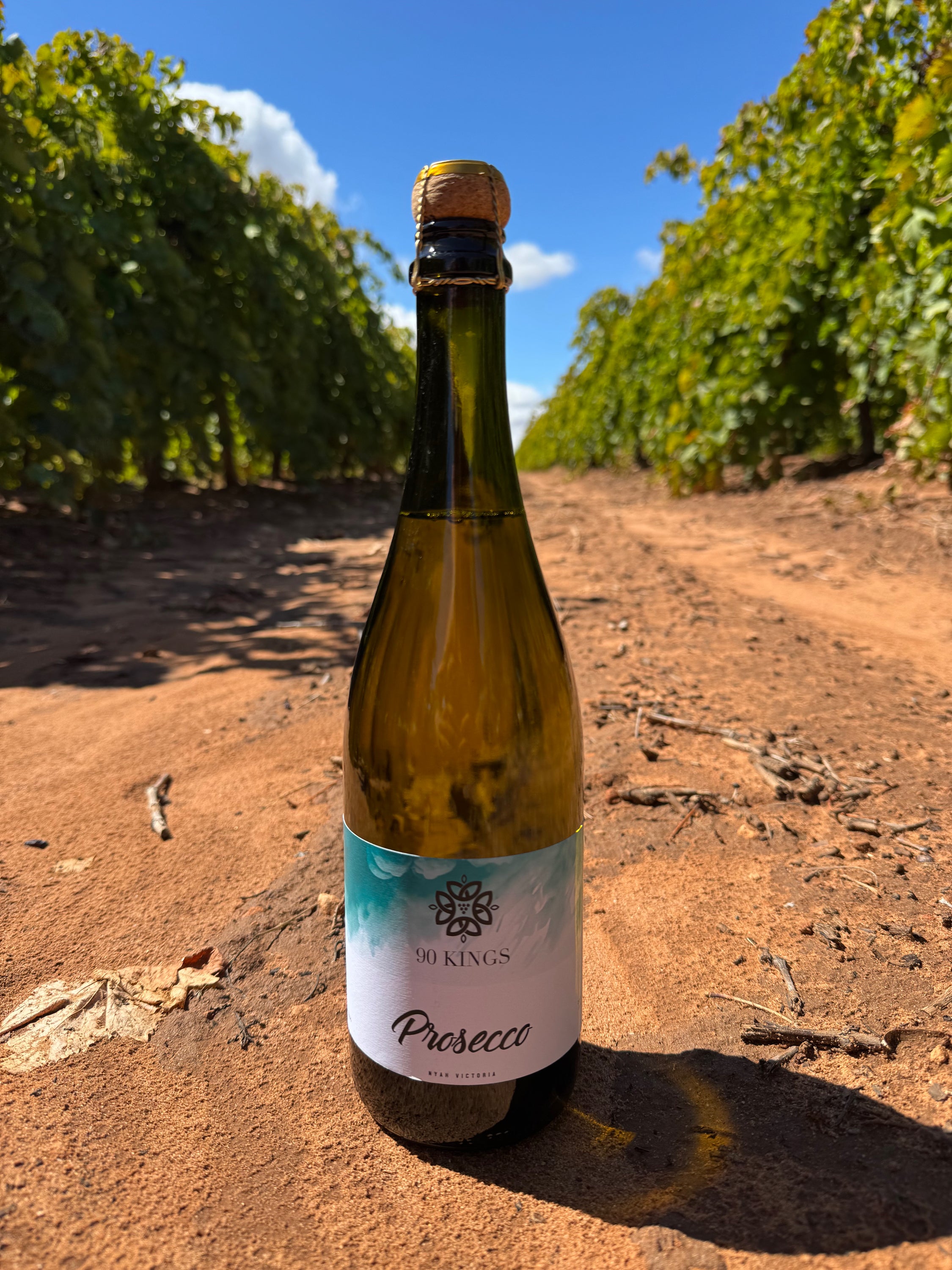 2024 Prosecco | 90 kings